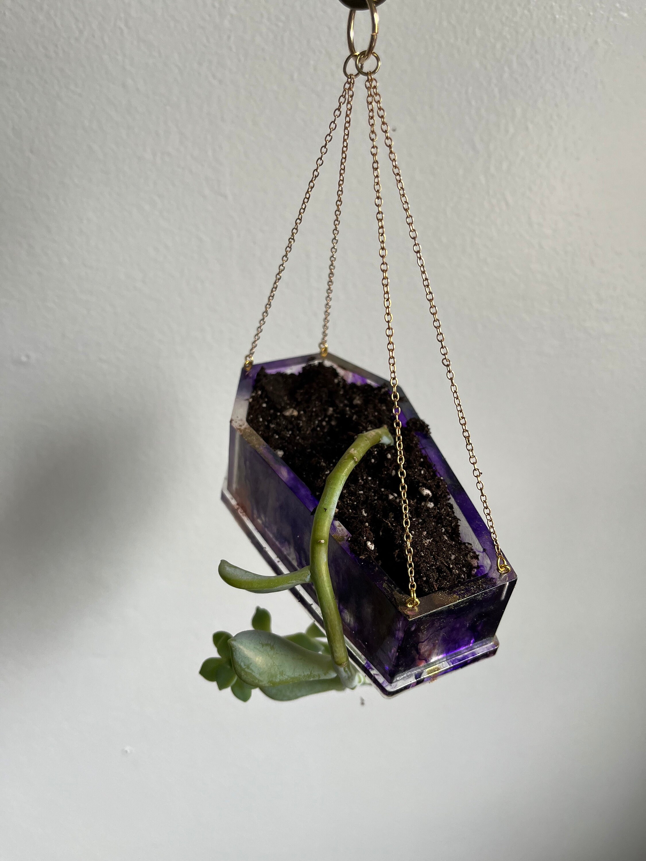 Coffin Hanging Planter Gothic Planter Witch Planter coffin Resin Art halloween Decor, Cute Desk ...