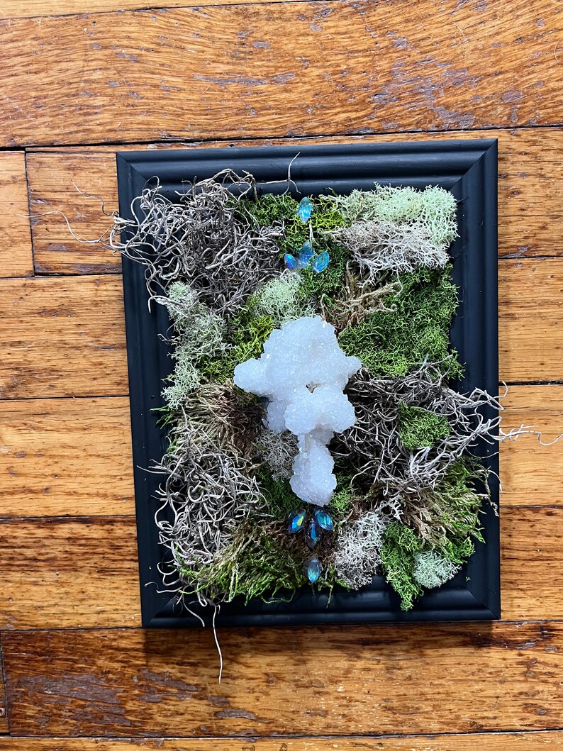 Crystal Deer Vertebrae Wall Art Moss Spine Witch Fairy - Etsy