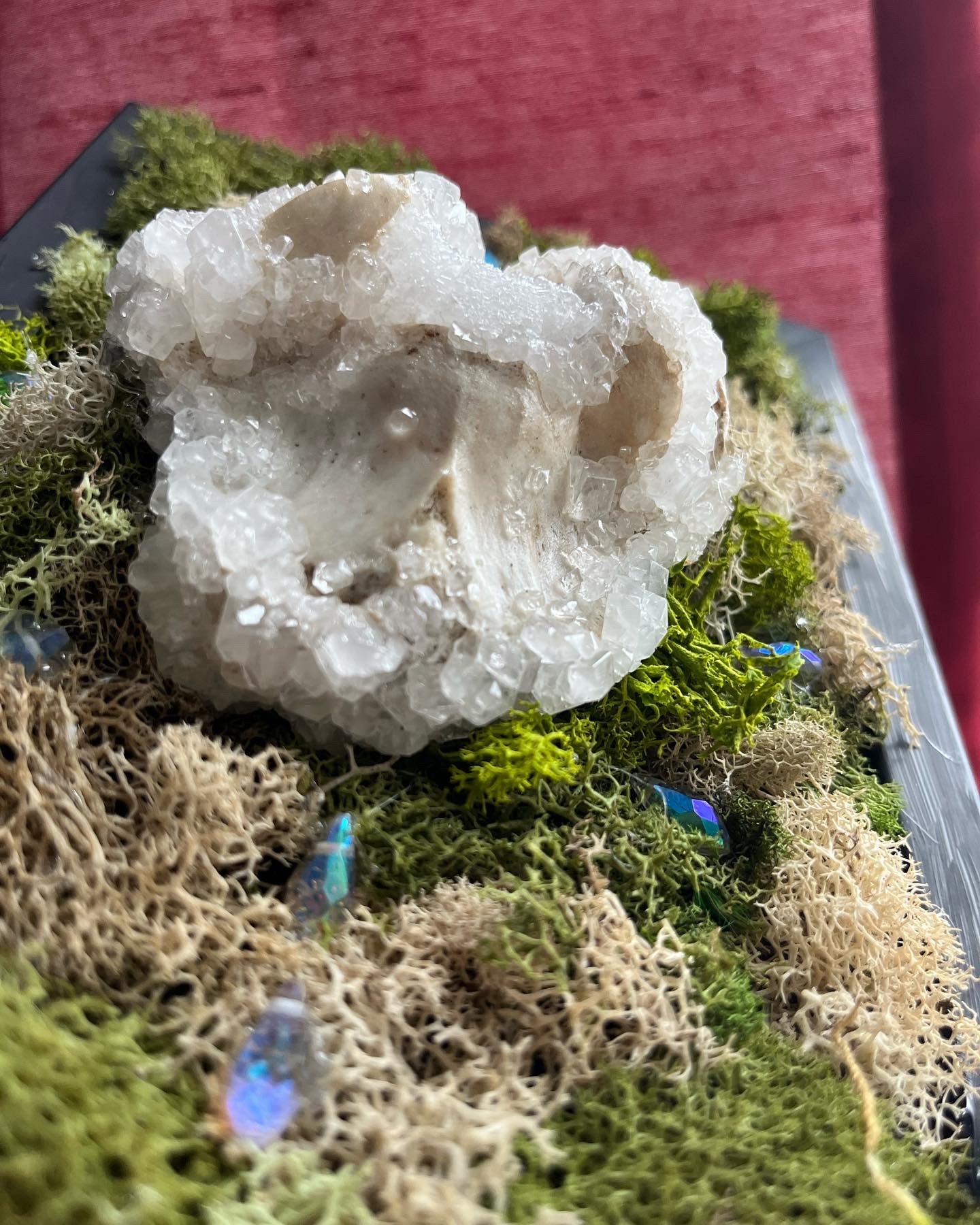 Crystal Deer Vertebrae Wall Art Moss Spine Witch Fairy Mystical Gothic ...