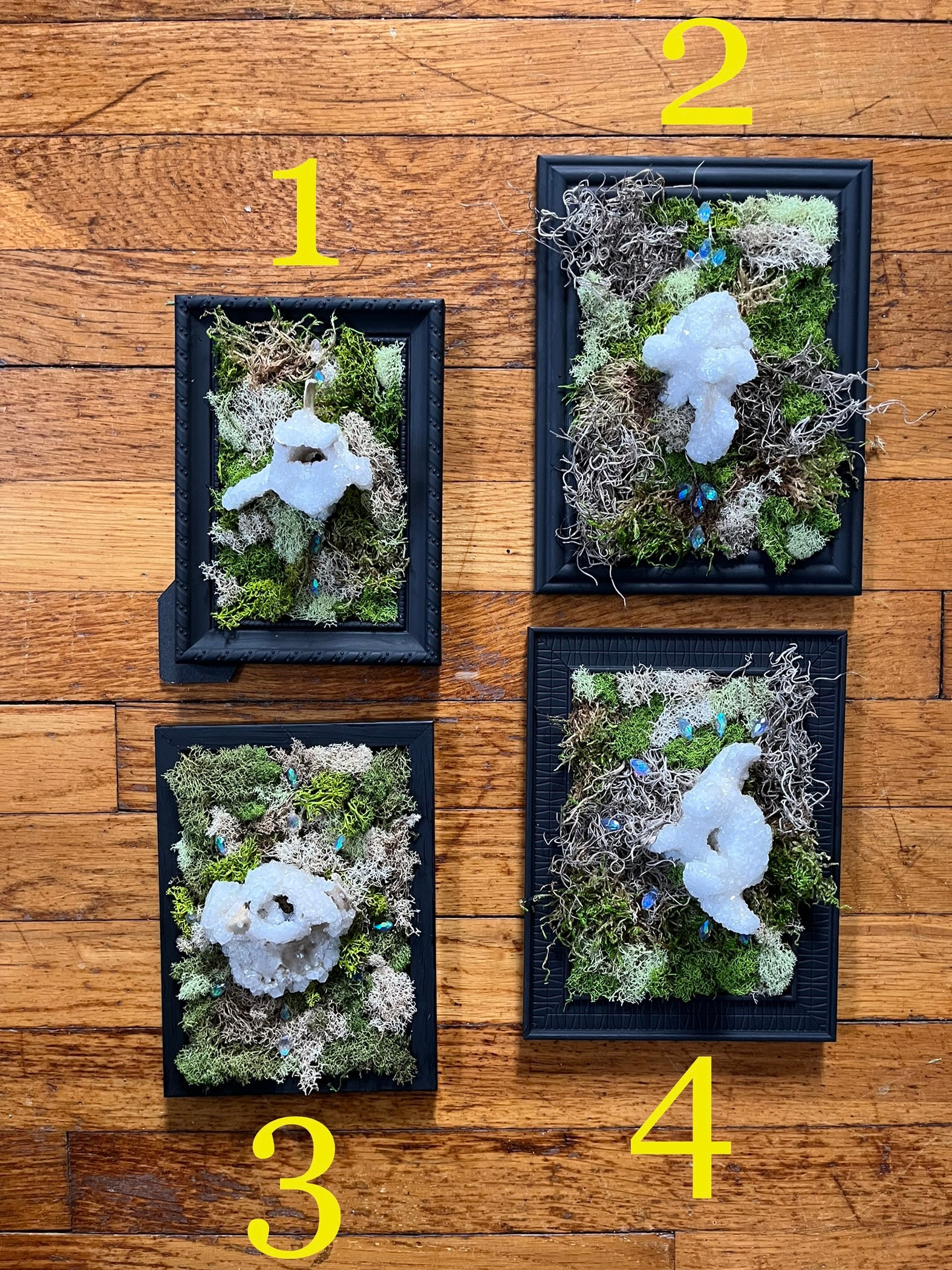 Crystal Deer Vertebrae Wall Art Moss Spine Witch Fairy Mystical Gothic ...