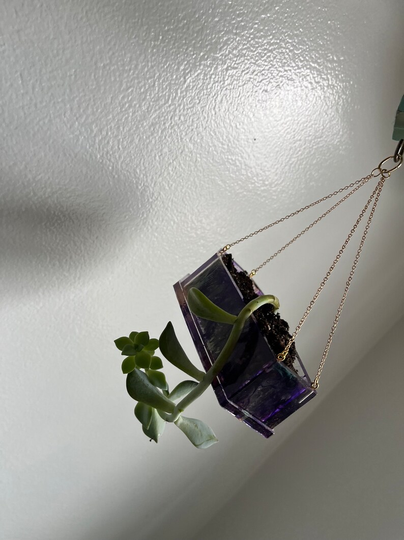 Coffin Hanging Planter Gothic Planter Witch Planter coffin Resin Art halloween Decor, Cute Desk ...