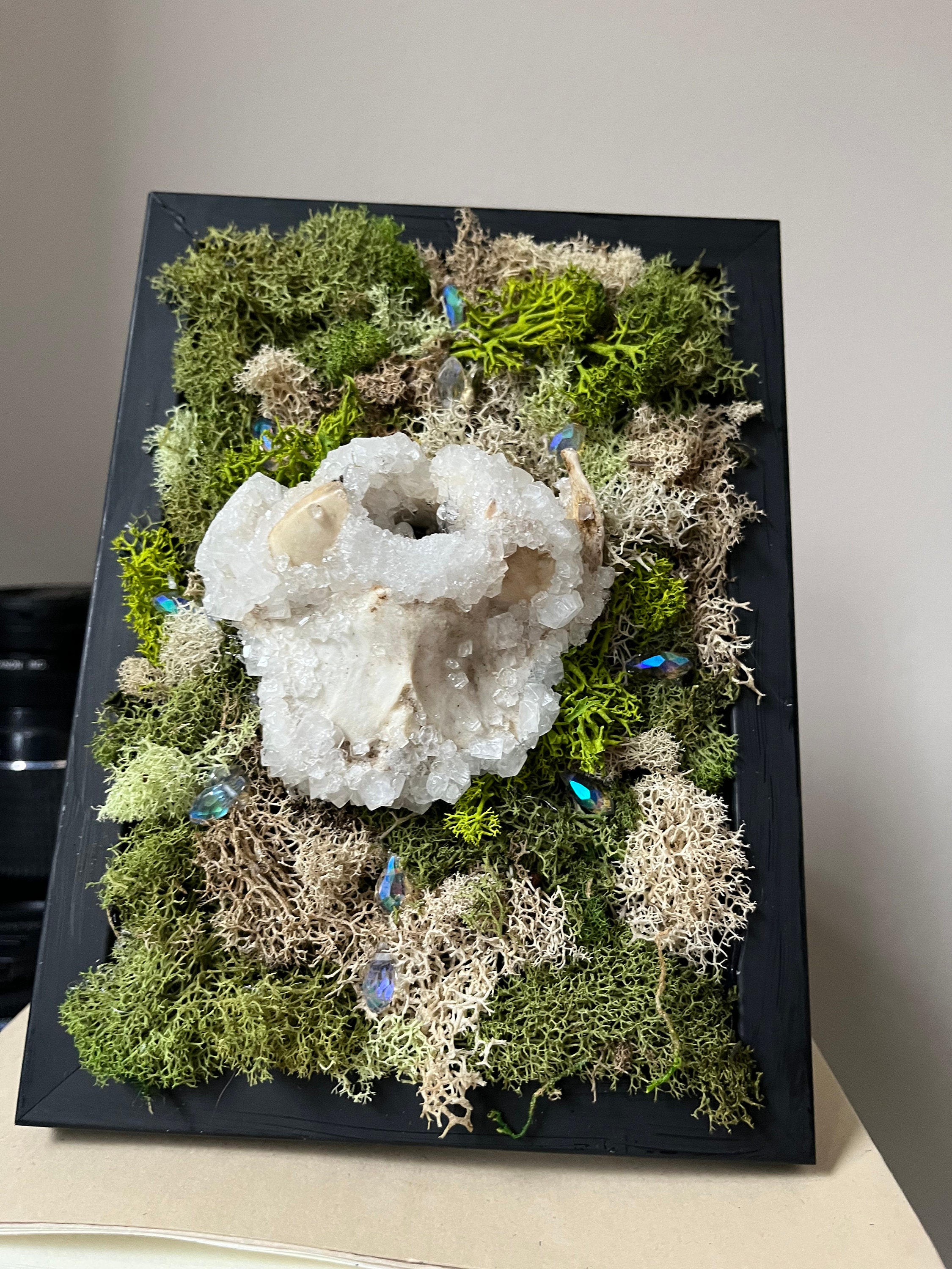 Crystal Deer Vertebrae Wall Art Moss Spine Witch Fairy - Etsy