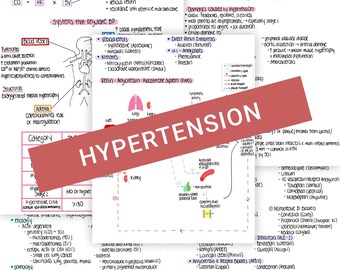 ACSM-CEP Conversion Flowchart Study Sheet Clinical Exercise - Etsy