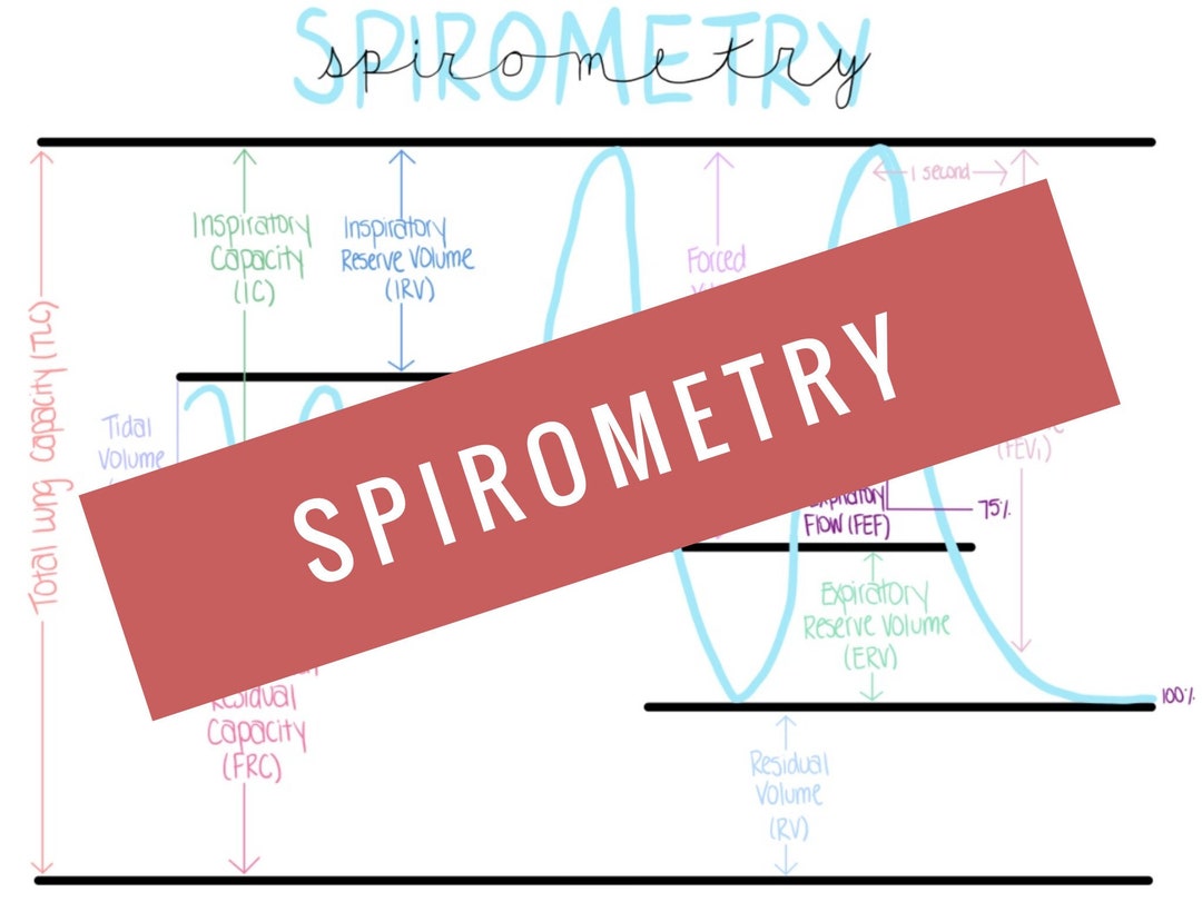 Spirometry Study Sheets, Respiratory, Nursing Notes, Exercise ...
