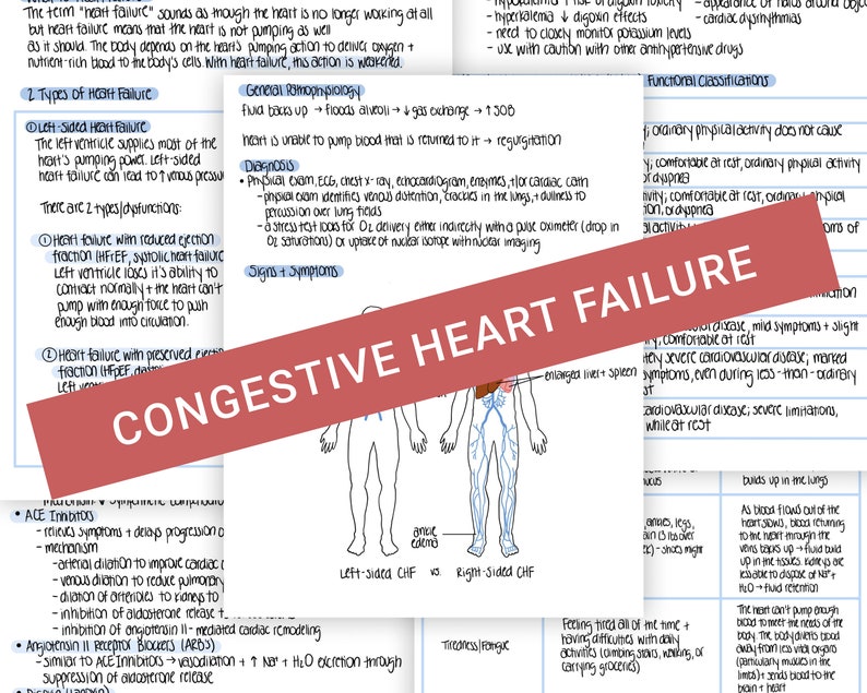 Congestive Heart Failure Study Sheets, Physiology, Nursing Notes ...