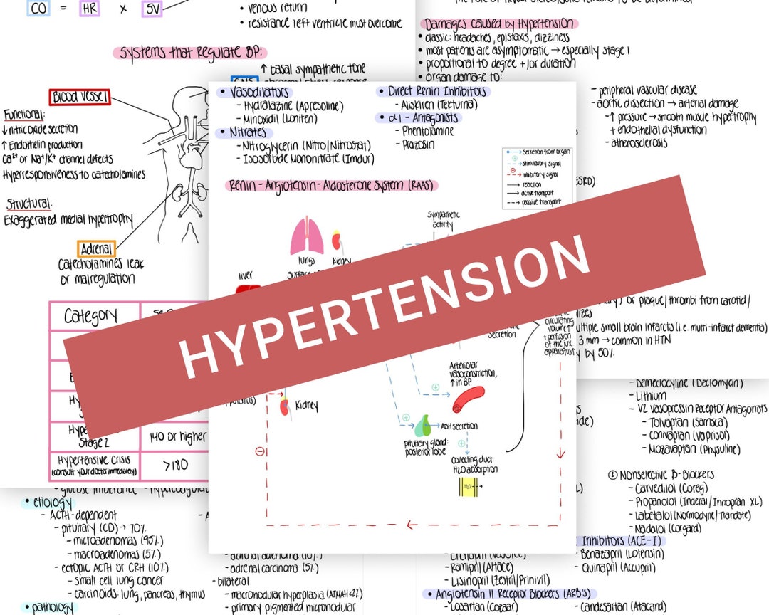Hypertension Study Sheets, Physiology, Nursing Notes, Exercise ...