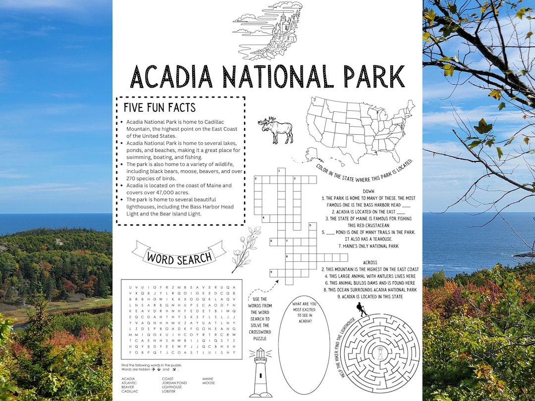 Acadia National Park Kid's Activity Sheet - Etsy