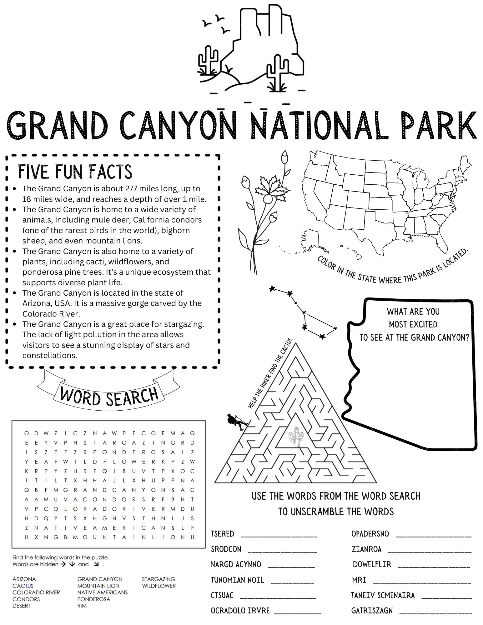 Grand Canyon Kid's Activity Sheet - Etsy