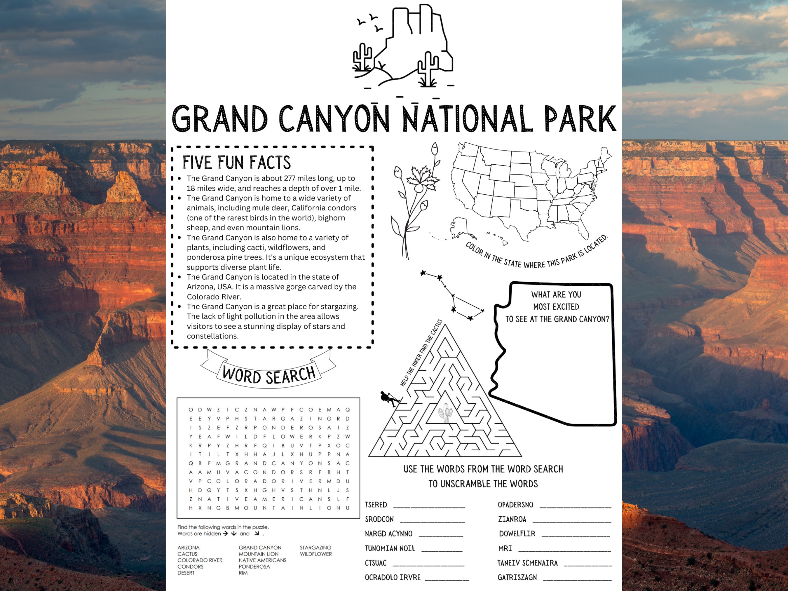 Grand Canyon Kid's Activity Sheet - Etsy