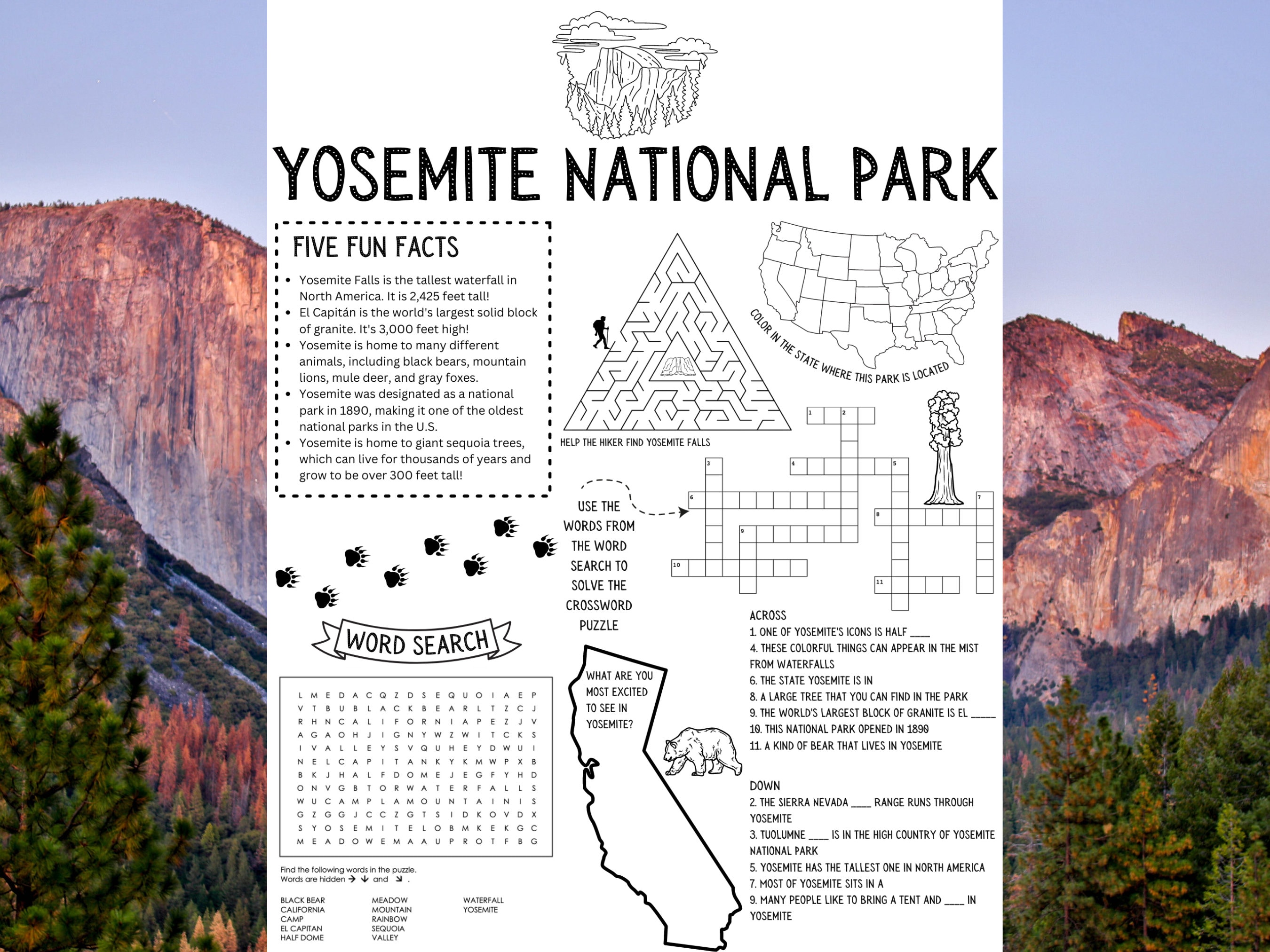 Yosemite National Park Kids Activity Sheet - Etsy