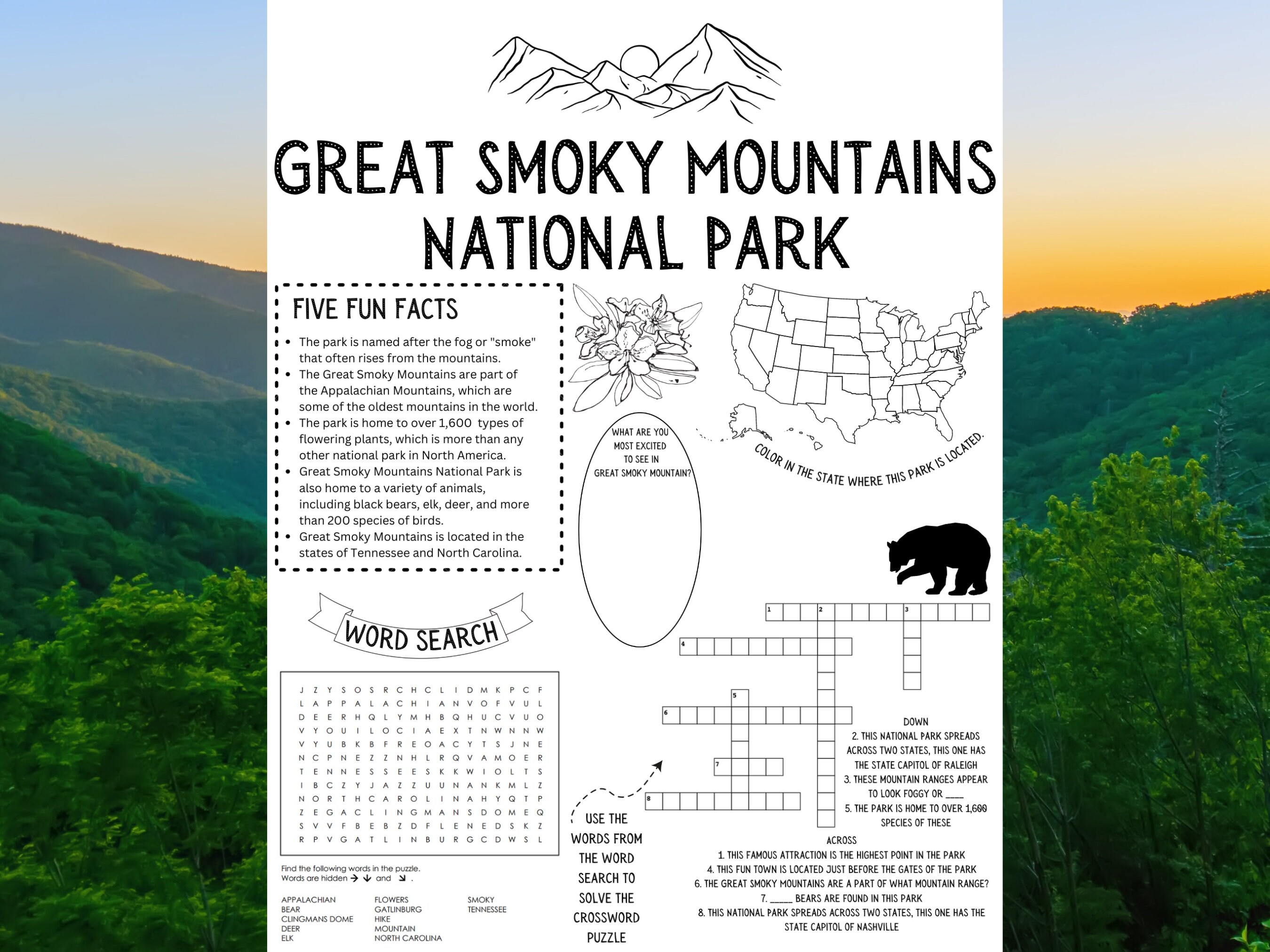 Great Smoky Mountains National Park Kid's Activity Sheet - Etsy