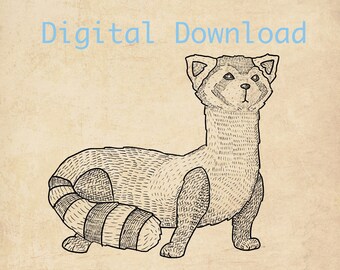 Avatar Fire Ferret Poster - Etsy