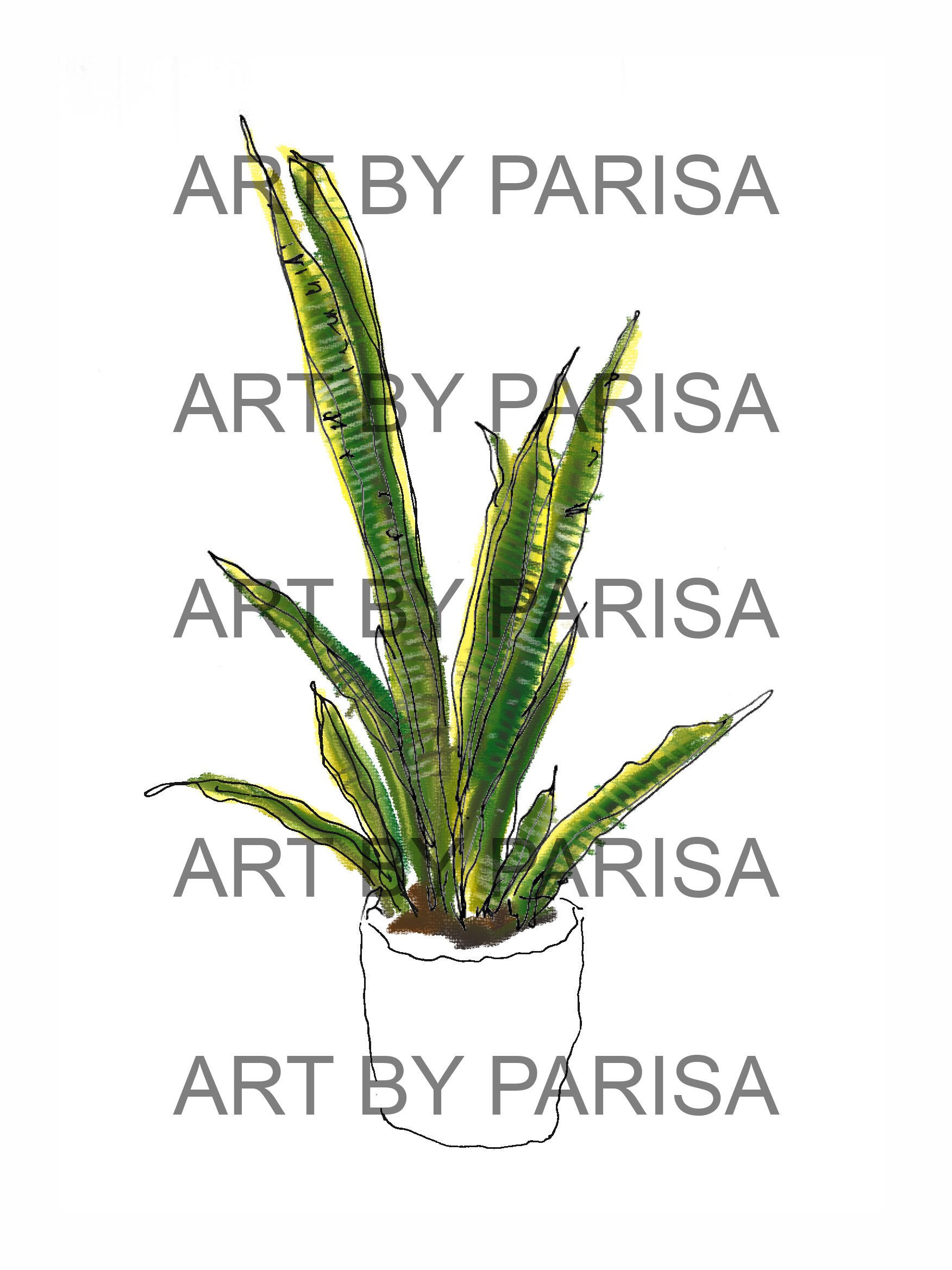 Snake Plant - A4/A5 Digital Art Print, Wall Decor, Green Nature, Potted ...
