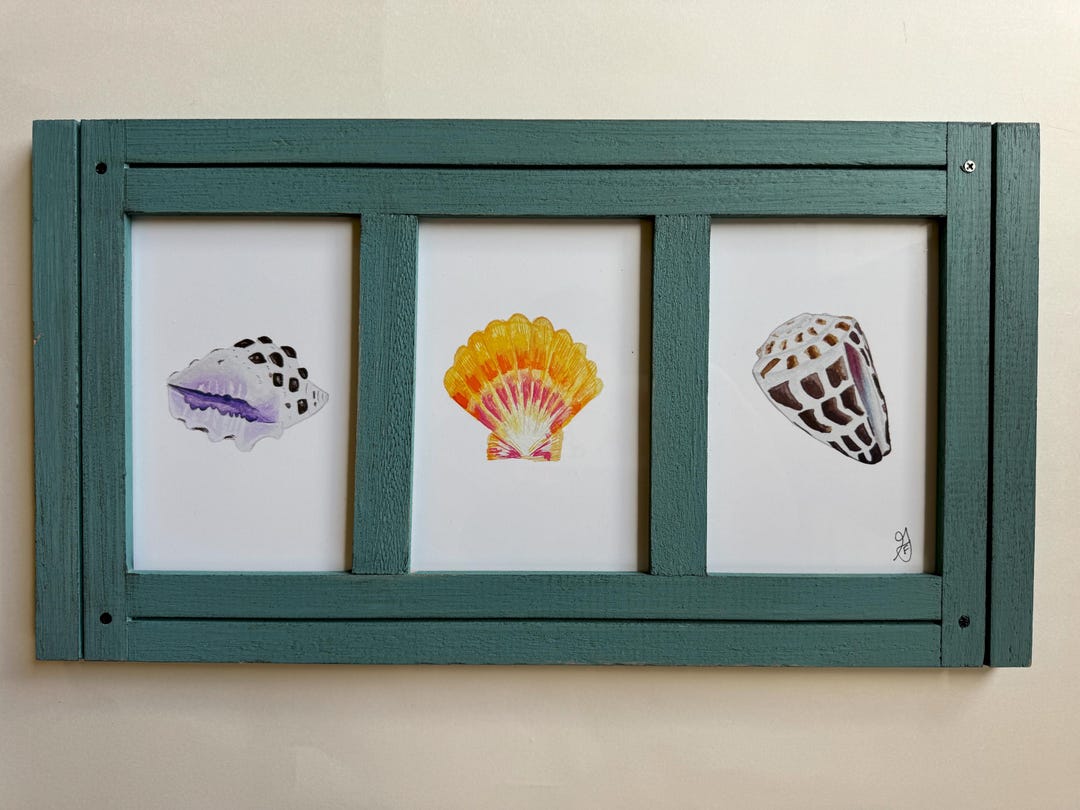 Framed 3 Panel Hawaii Shells, Cone Shell, Miter Shell, Sunrise Shell ...
