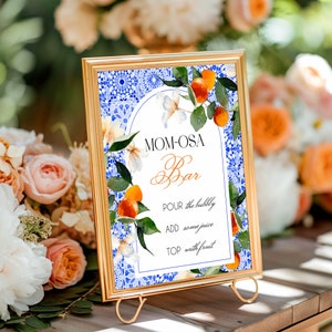 Orange Baby Shower Sign Bundle Baby Shower Table Signs Books and Gifts ...