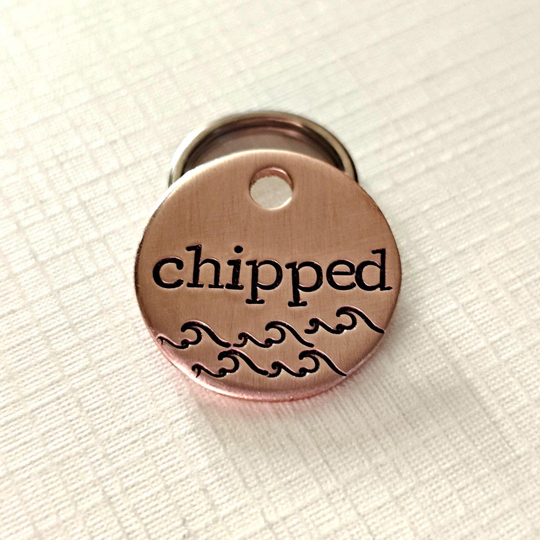 CHIPPED or Name Add-on — 3/4" Pet ID, Microchipped Pet Tag, Chipped Tag ...