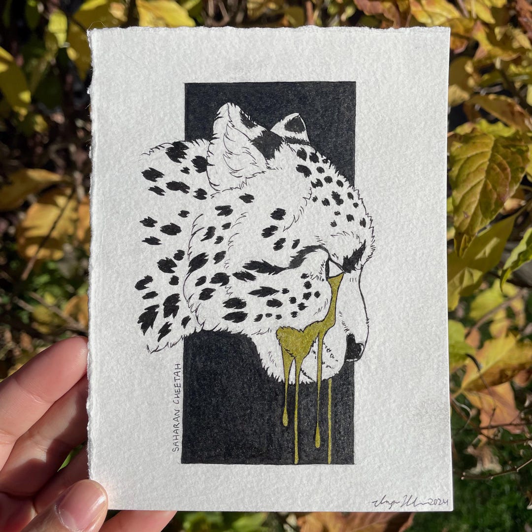 ORIGINAL - Saharan Cheetah - Etsy