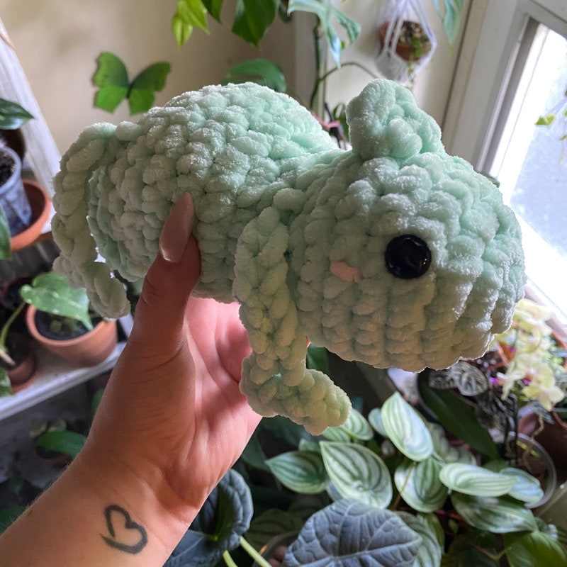 Crochet Pascal - Etsy