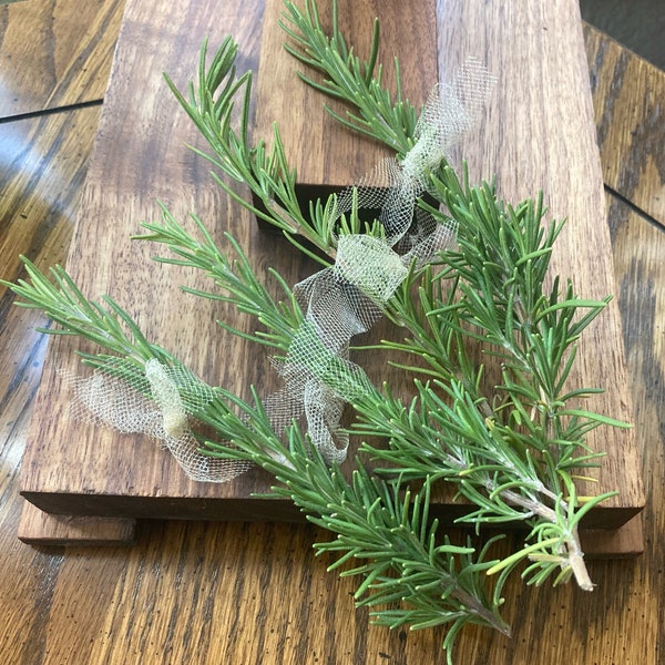 Rosemary - Etsy