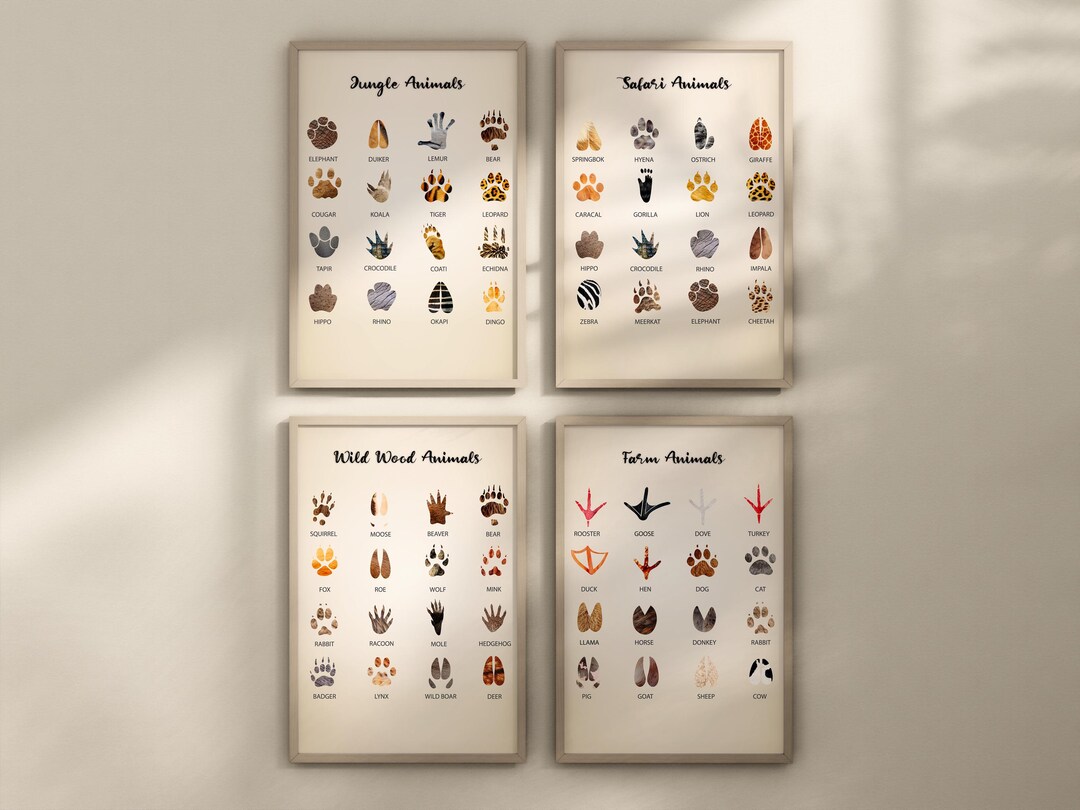 Animal Paw Prints Posters - Etsy