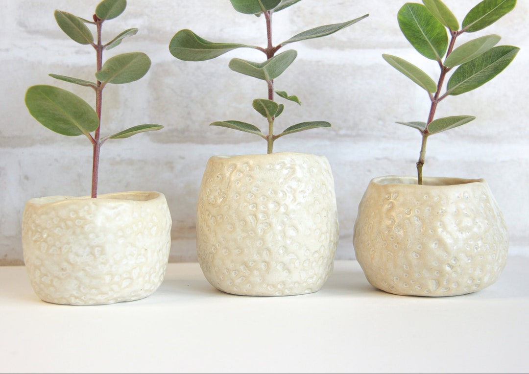 Hand Built Natural Textured Ceramic Planters | Handmade Oat Glazed ...