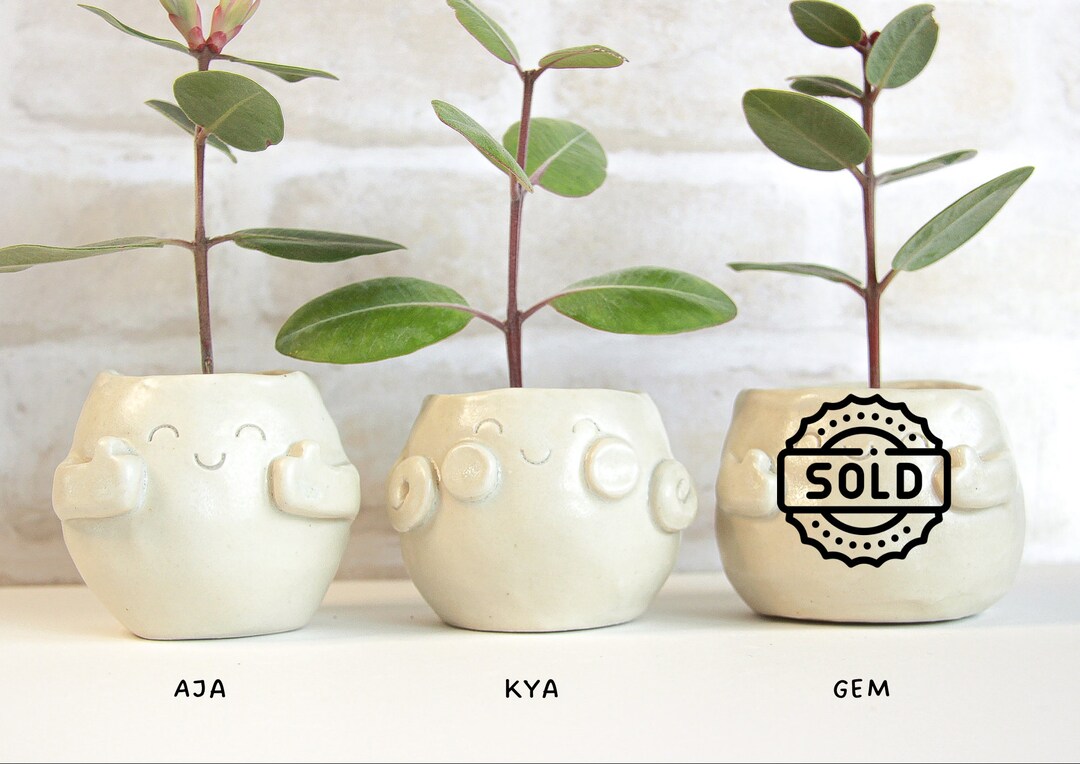 Cute Hand Built Ceramic Planters | Floral White Mat Glaze | Hand Built ...