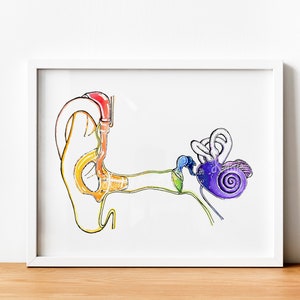 Original Audiology Art Print, Ear Anatomy, Hearing Aid, Hearing Loss ...
