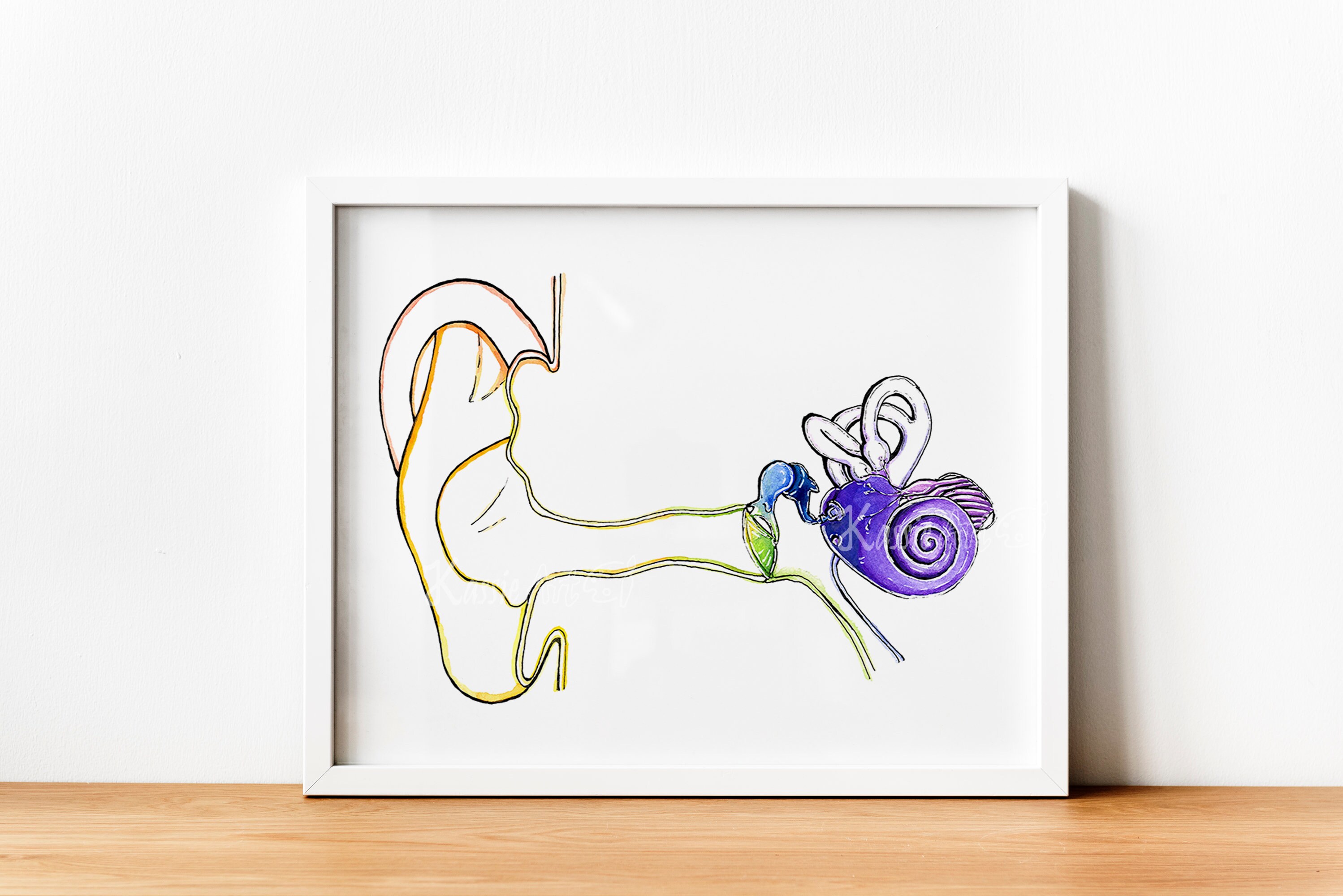 Original Audiology Art Print Ear Anatomy Hearing Aid - Etsy