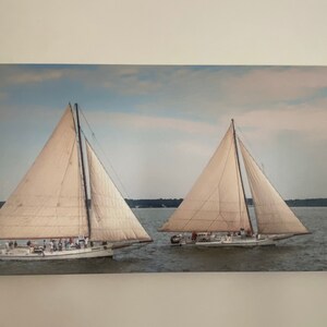 Skipjack Race - Etsy