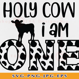 Holy Cow I Am One SVG, Cow Birthday Svg,1st Birthday Boy SVG, Girl ...