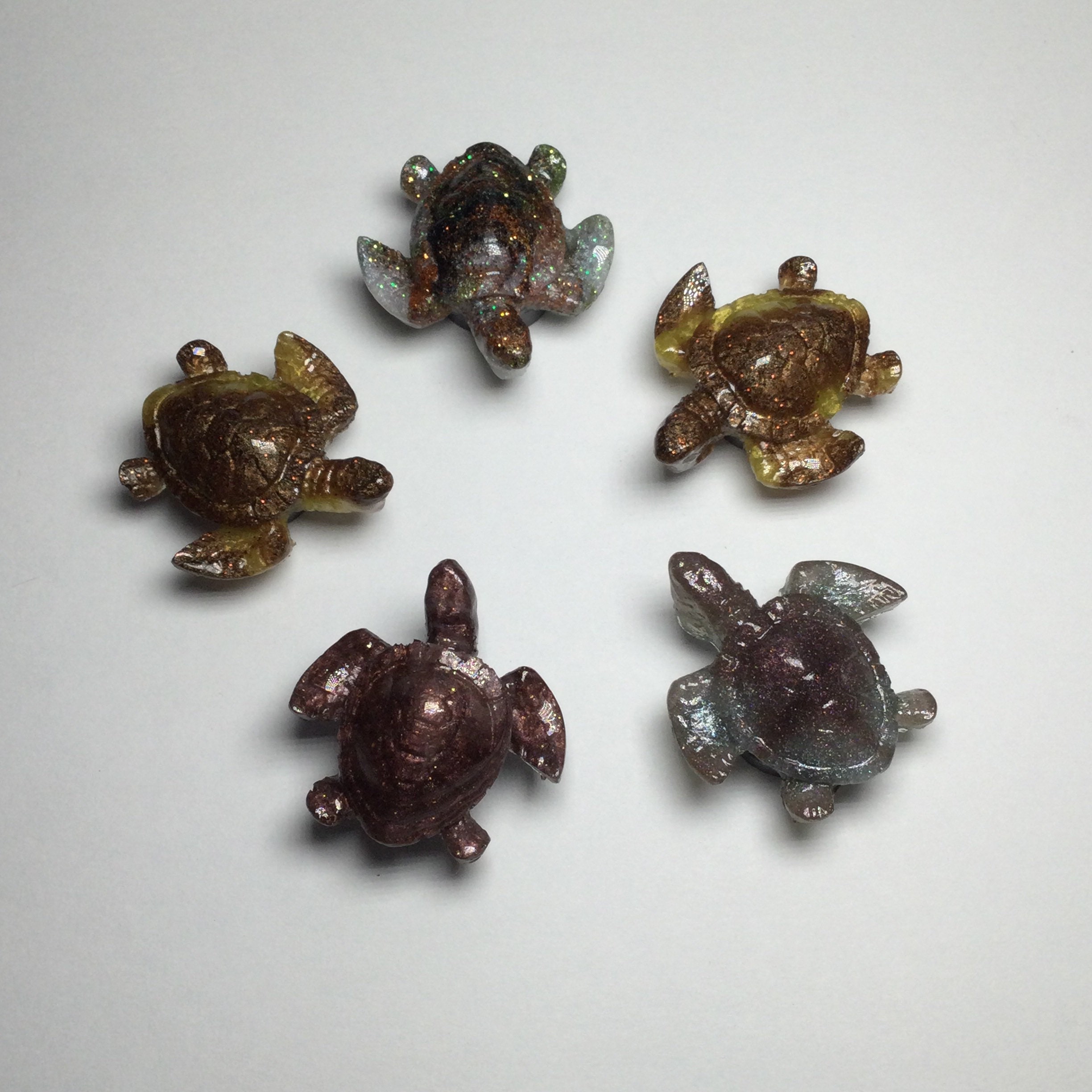 Turtle Magnets Set of 5 - Etsy