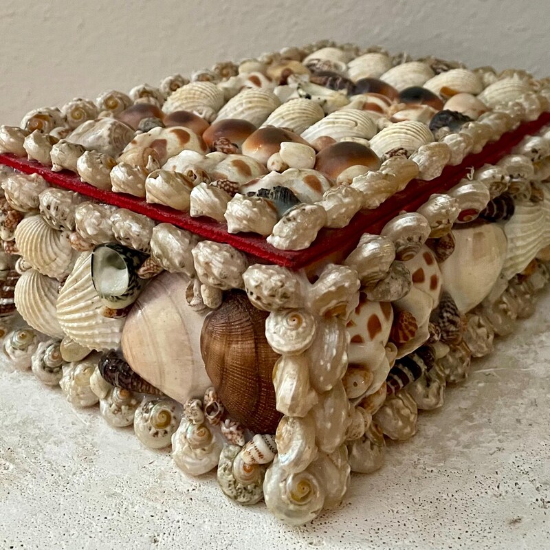 Seashell Jewelry Box - Etsy