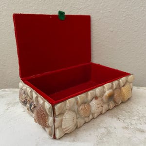 Vintage Seashell Jewelry Box / Shell Jewelry Box / Organization ...