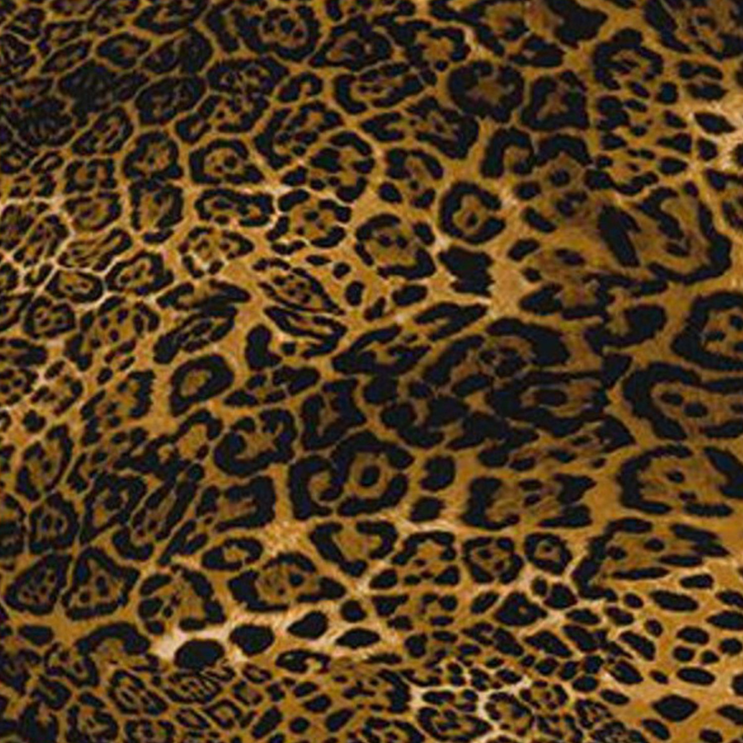 Jaguar Animal Print