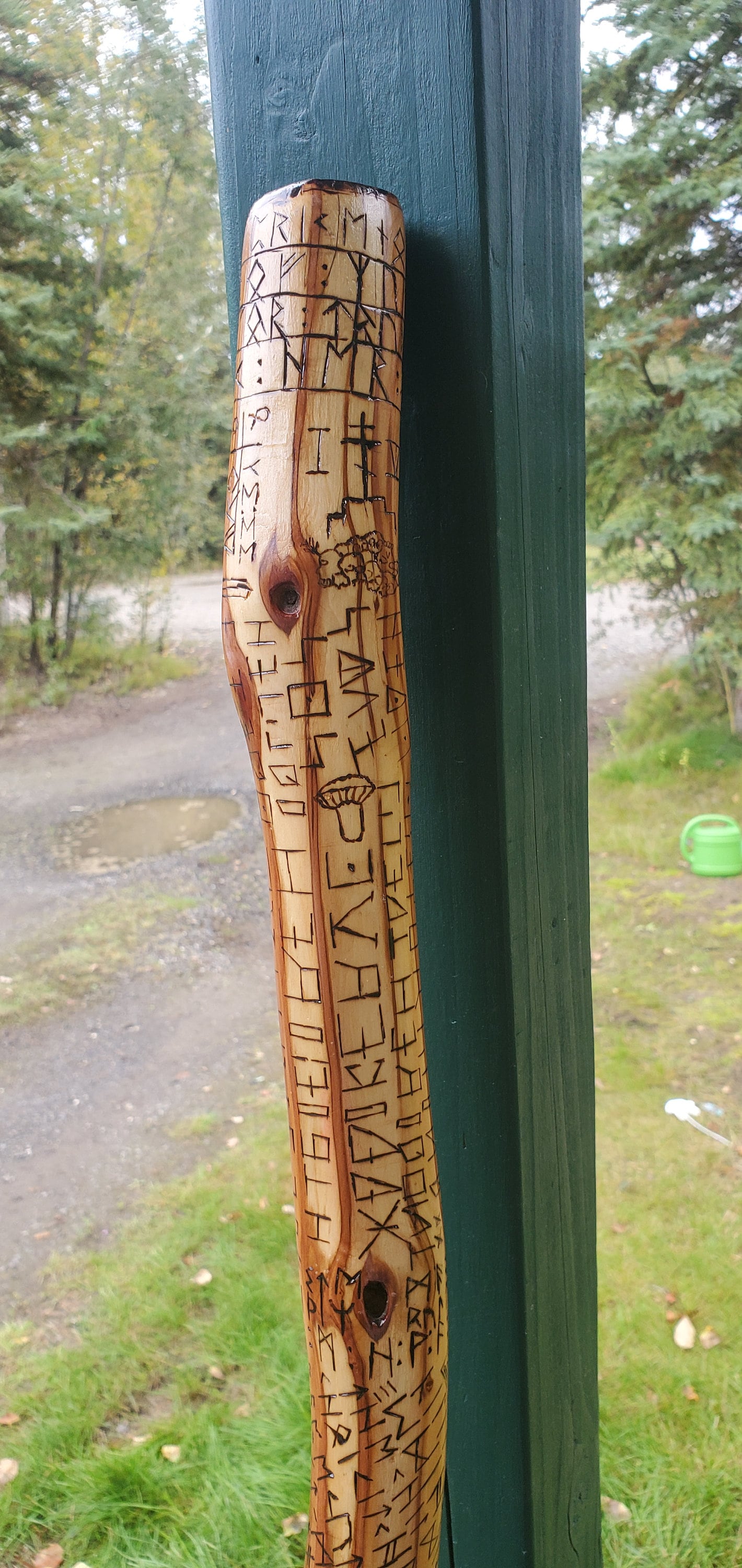 Diamond Willow, Walking Stick, Nordic Shaman - Etsy