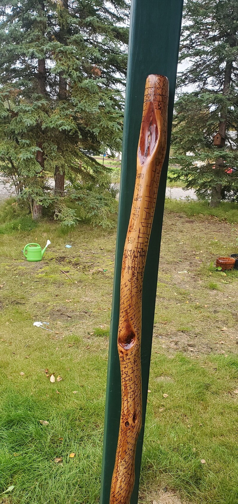 Diamond Willow, Walking Stick, Nordic Shaman - Etsy