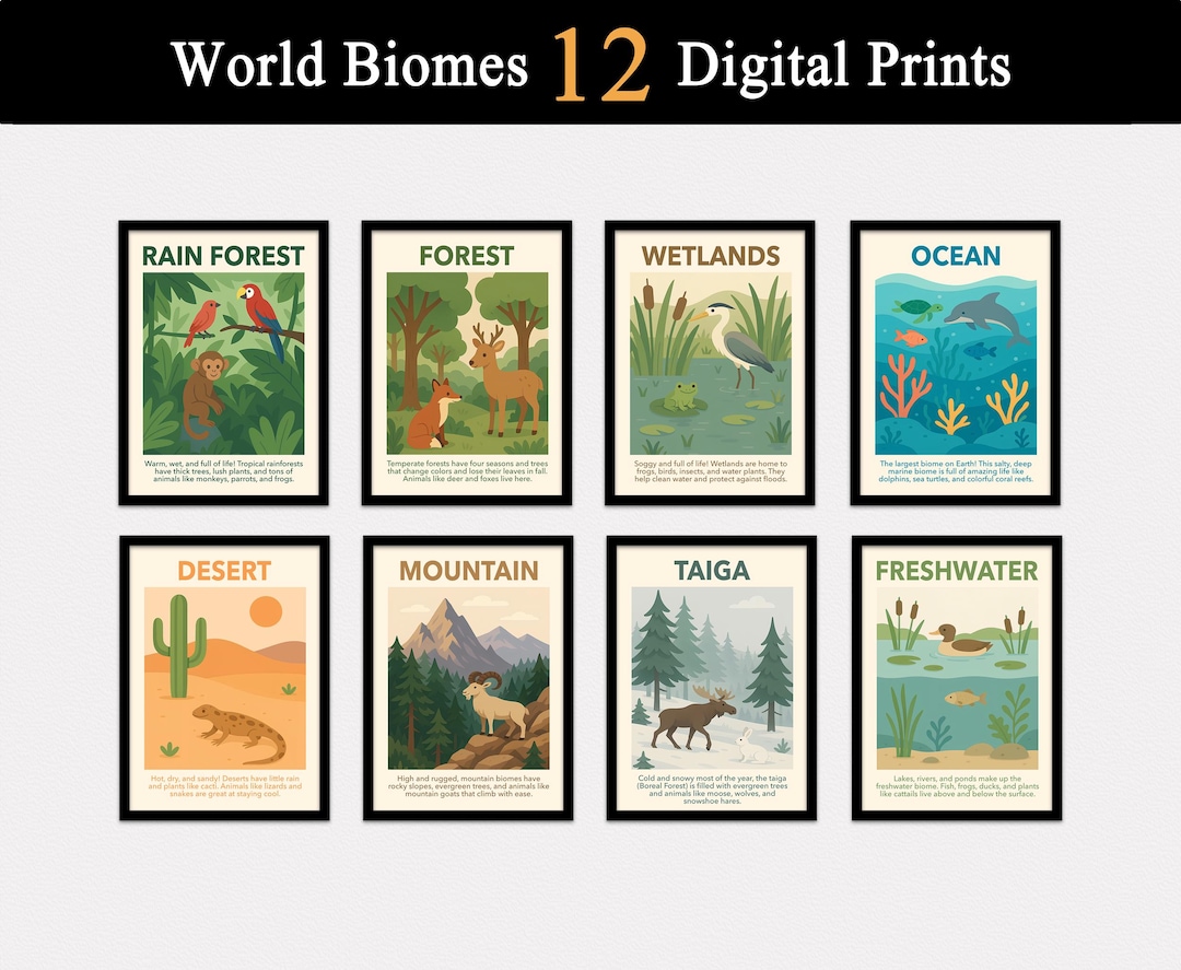 Biomes Posters, World Biomes, Set of 12 DIGITAL Downloads, Geography ...