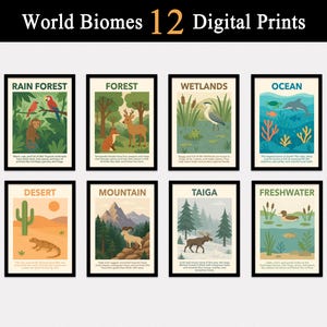 Biomes Posters, World Biomes, Set of 12 DIGITAL Downloads, Geography ...