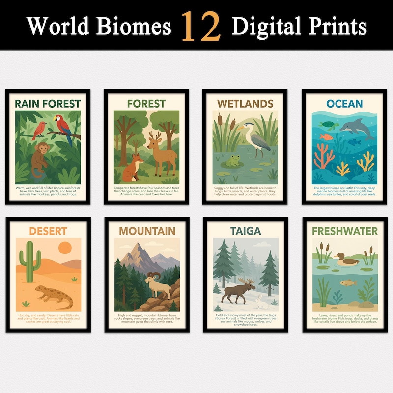 Living Biome - Etsy