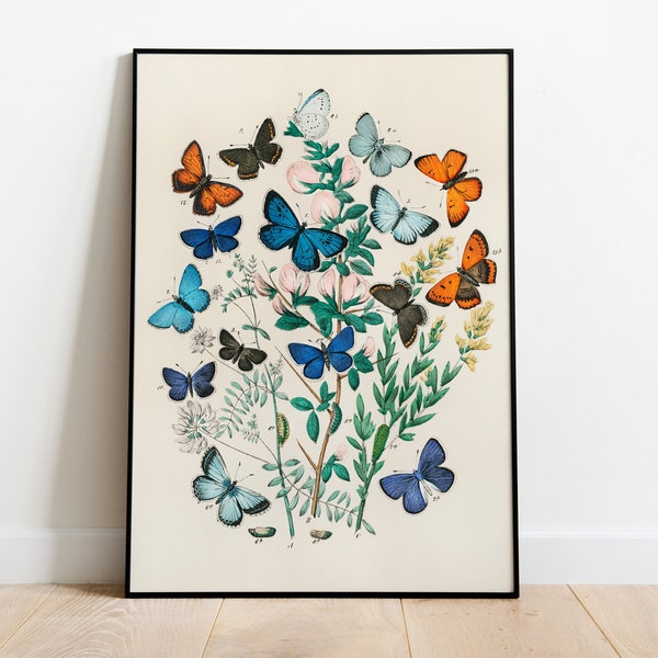 Butterfly Poster - Etsy