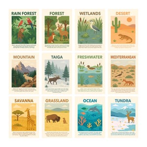 Biomes Posters, World Biomes, Set of 12 DIGITAL Downloads, Geography ...