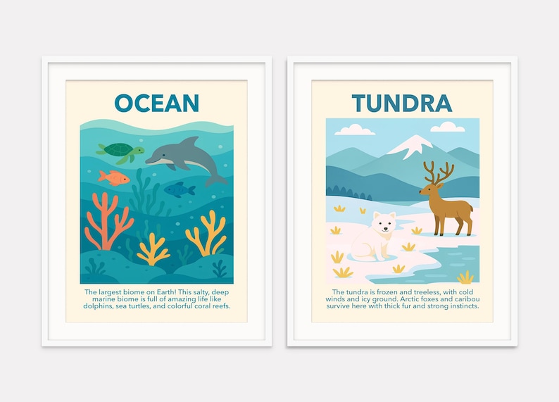 Biomes Posters, World Biomes, Set of 12 DIGITAL Downloads, Geography ...