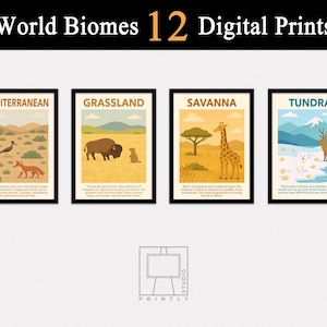 Biomes Posters, World Biomes, Set of 12 DIGITAL Downloads, Geography ...