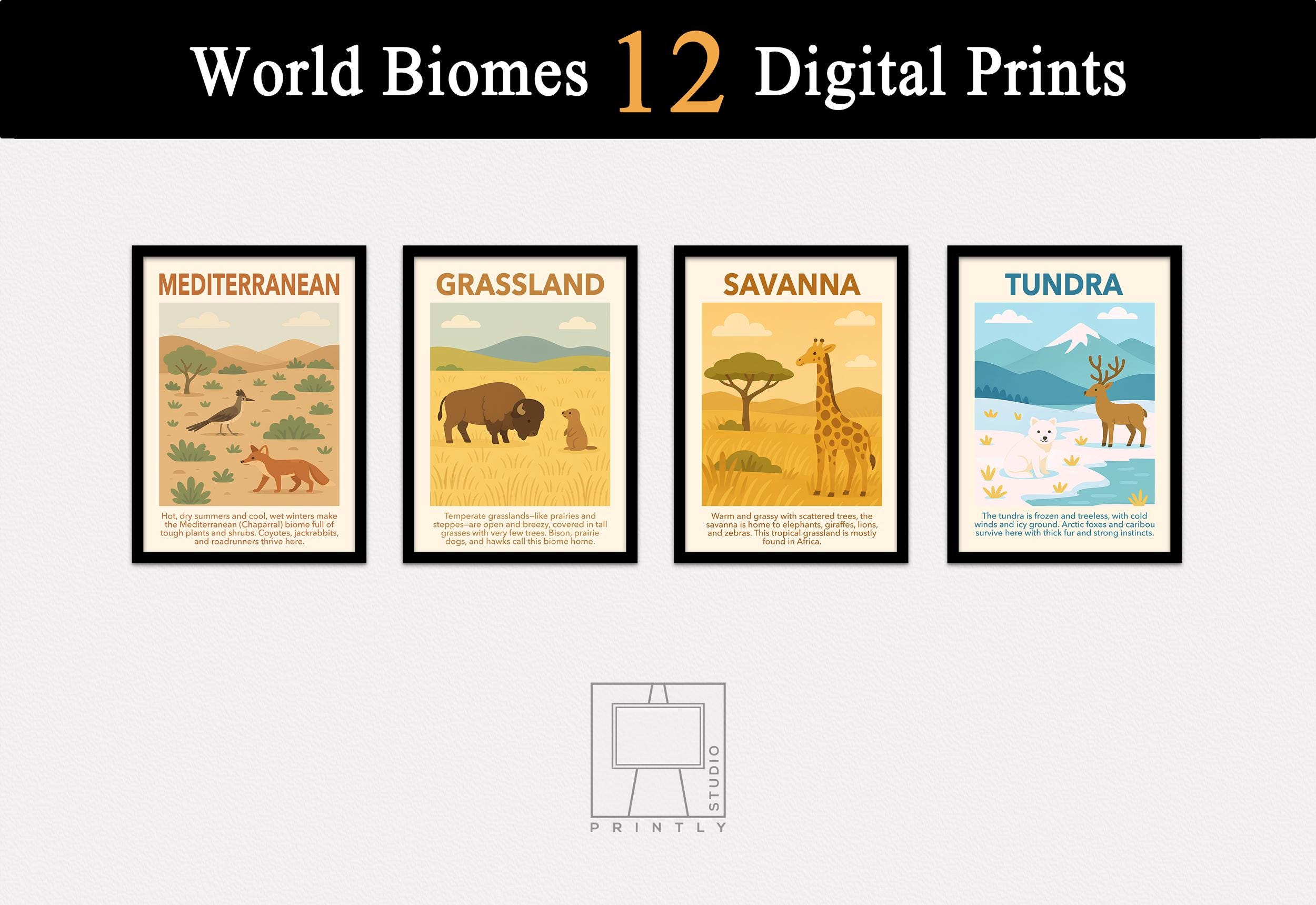 Biomes Posters, World Biomes, Set of 12 DIGITAL Downloads, Geography ...