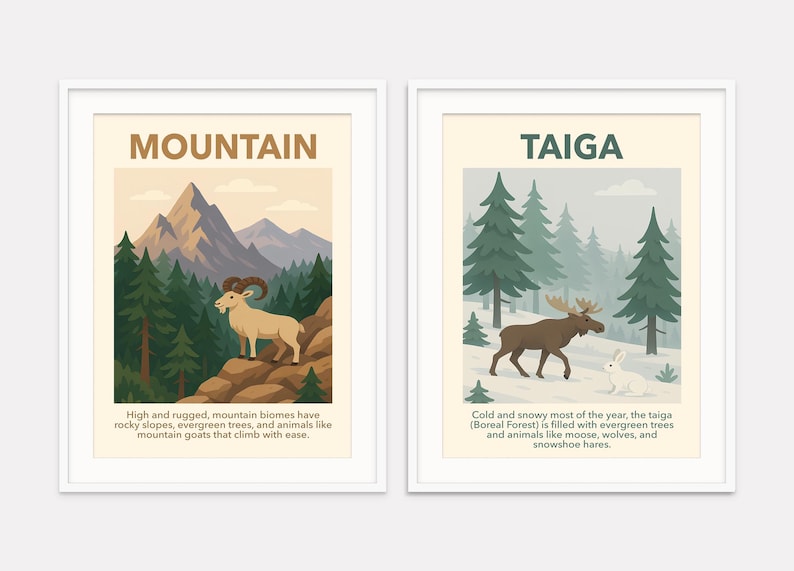 Biomes Posters, World Biomes, Set of 12 DIGITAL Downloads, Geography ...