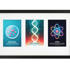 Science Classroom Posters Set of 10 DIGITAL Prints, School Decor ...