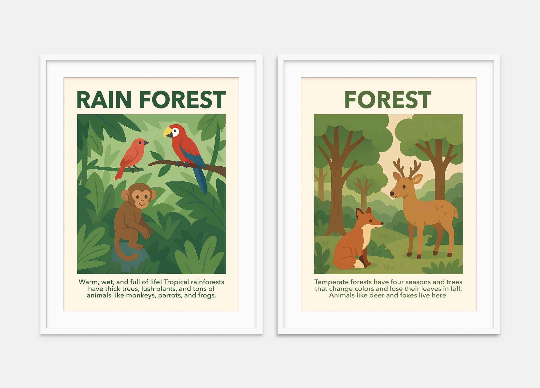 Biomes Posters, World Biomes, Set of 12 DIGITAL Downloads, Geography ...