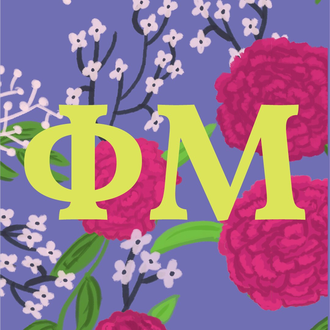 Phi Mu Sticker Pack | Vinyl Sorority Stickers | Phi Mu Stickers | Phi Mu - Etsy