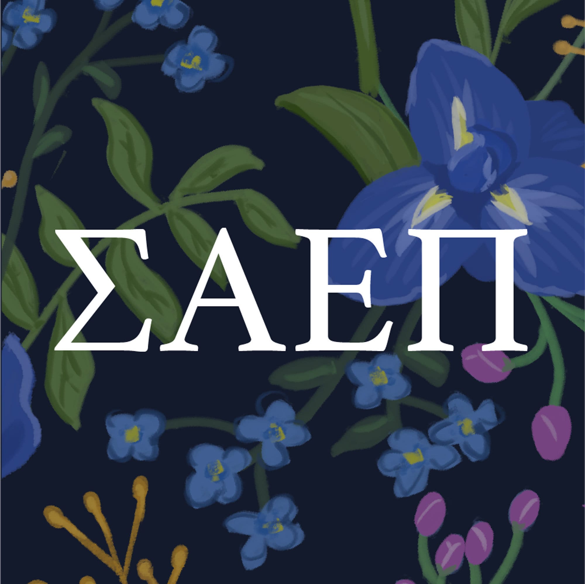 Sigma Alpha Epsilon Pi Sticker Set Sorority Stickers Saepi - Etsy