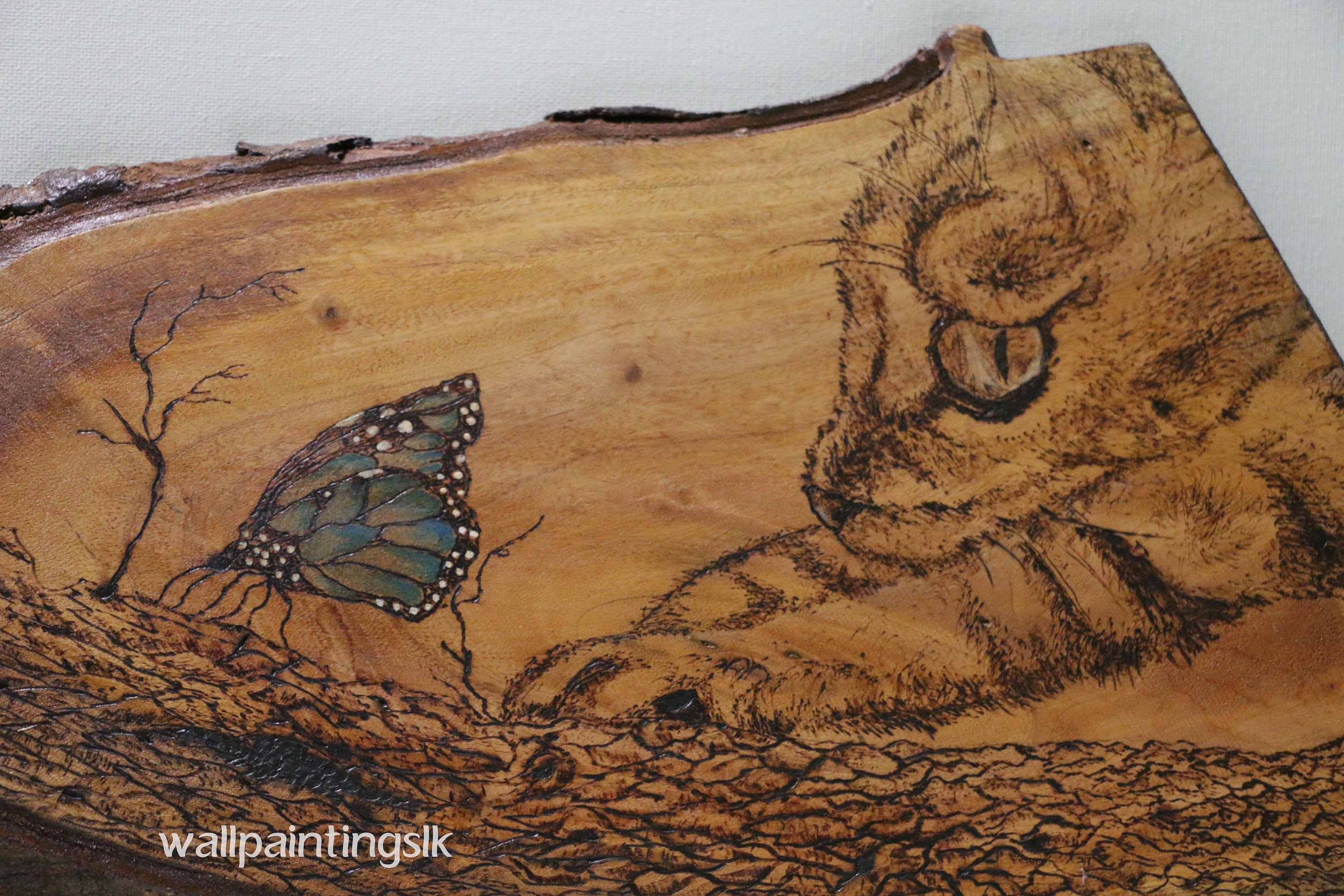 Holzbrand Pyrografie Kunst,Katze vs Schmetterling,Holz brennen Kunst ...
